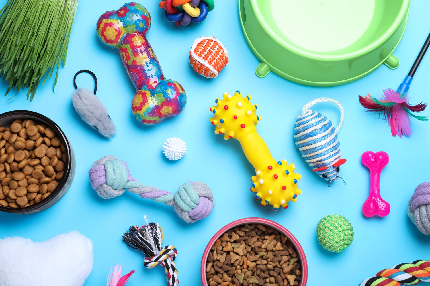 How To Enhance Your Pet Store With Stock Images Africaimages how-to-enhance-your-pet-store-with-stock-images-africaimages